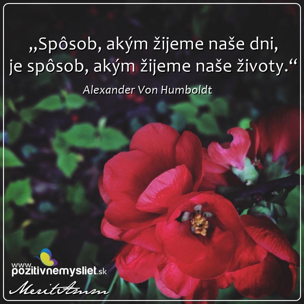 Citát 452 o živote - Pozitivnemysliet.sk