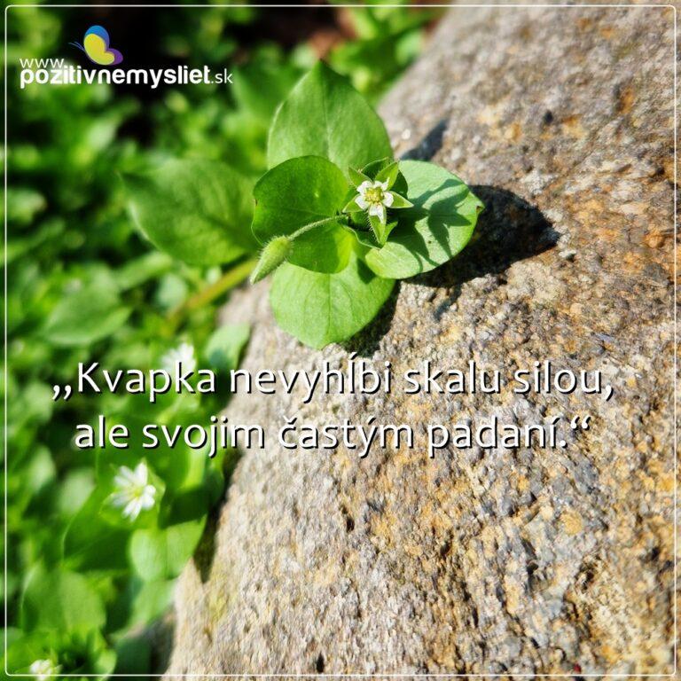 Citáty, ktoré stoja za to. Citáty, ktoré Vás inšpirujú. Pozitivnemysliet.sk